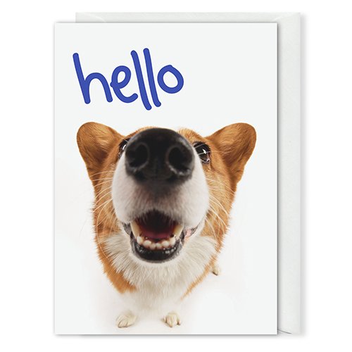 Personalised Cards For Clients & Customers - B2B & B2C | Greetd