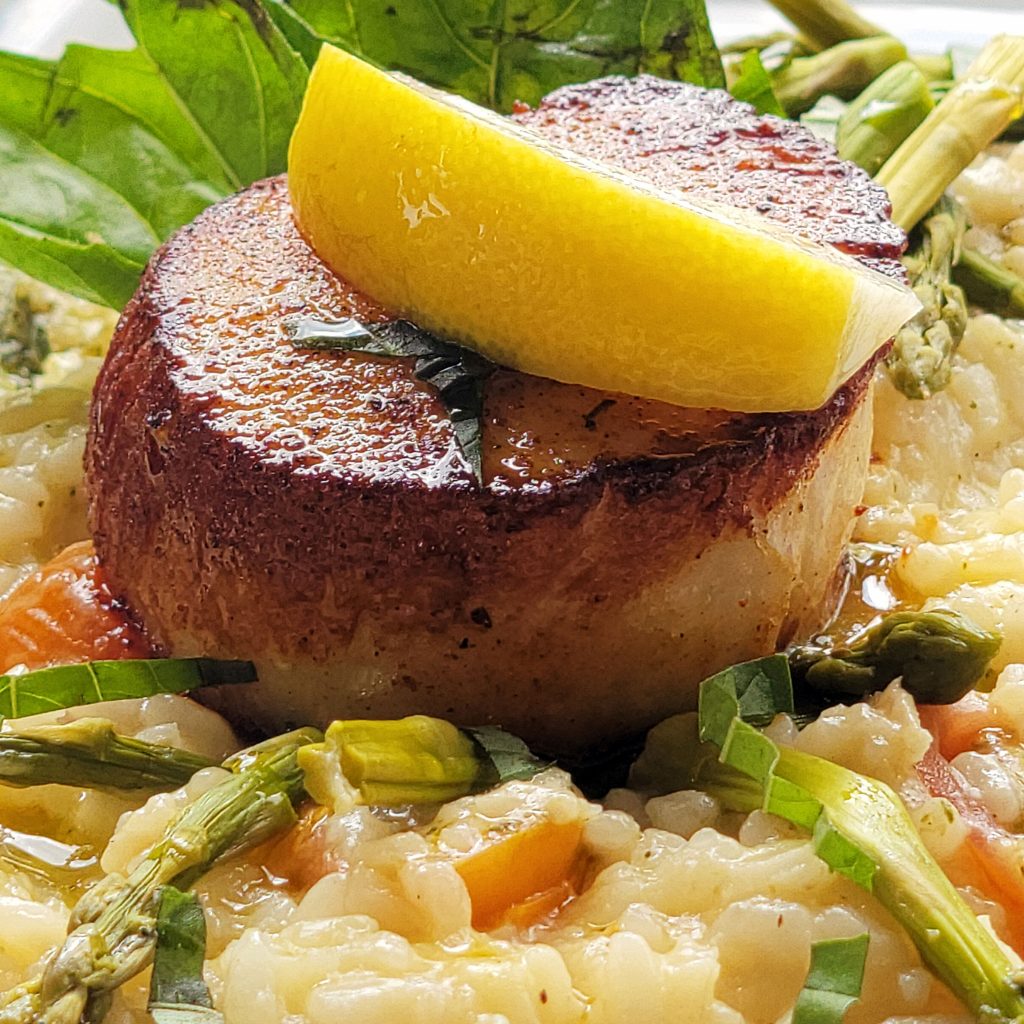 Gigantic 'U1' Scallop Giveaway – Fisherman's Market Seafood Outlet