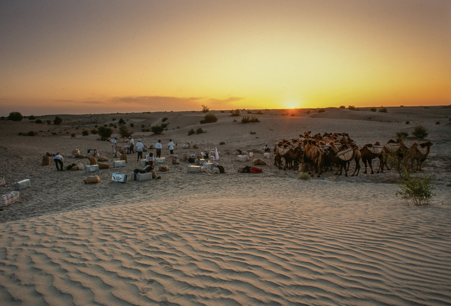 Adventurer Charles Blackmore – Downton Distillery UK