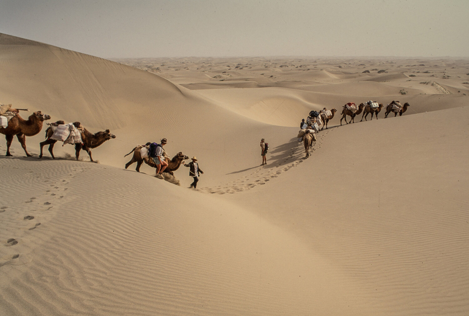 Adventurer Charles Blackmore – Downton Distillery UK