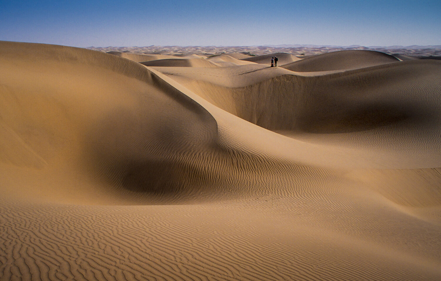 Adventurer Charles Blackmore – Downton Distillery UK