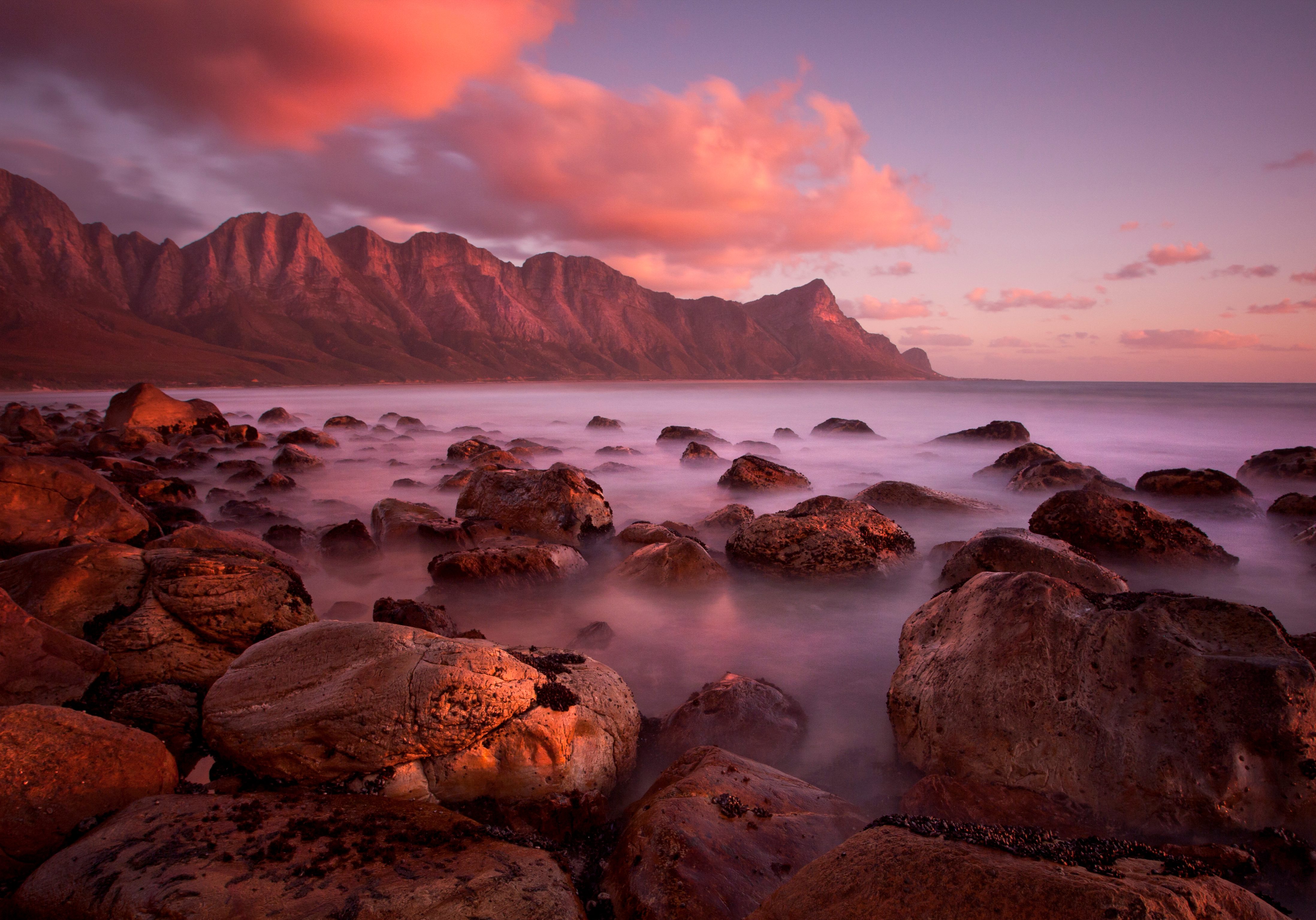 Travel South Africa Sardine Run – Downton Distillery UK