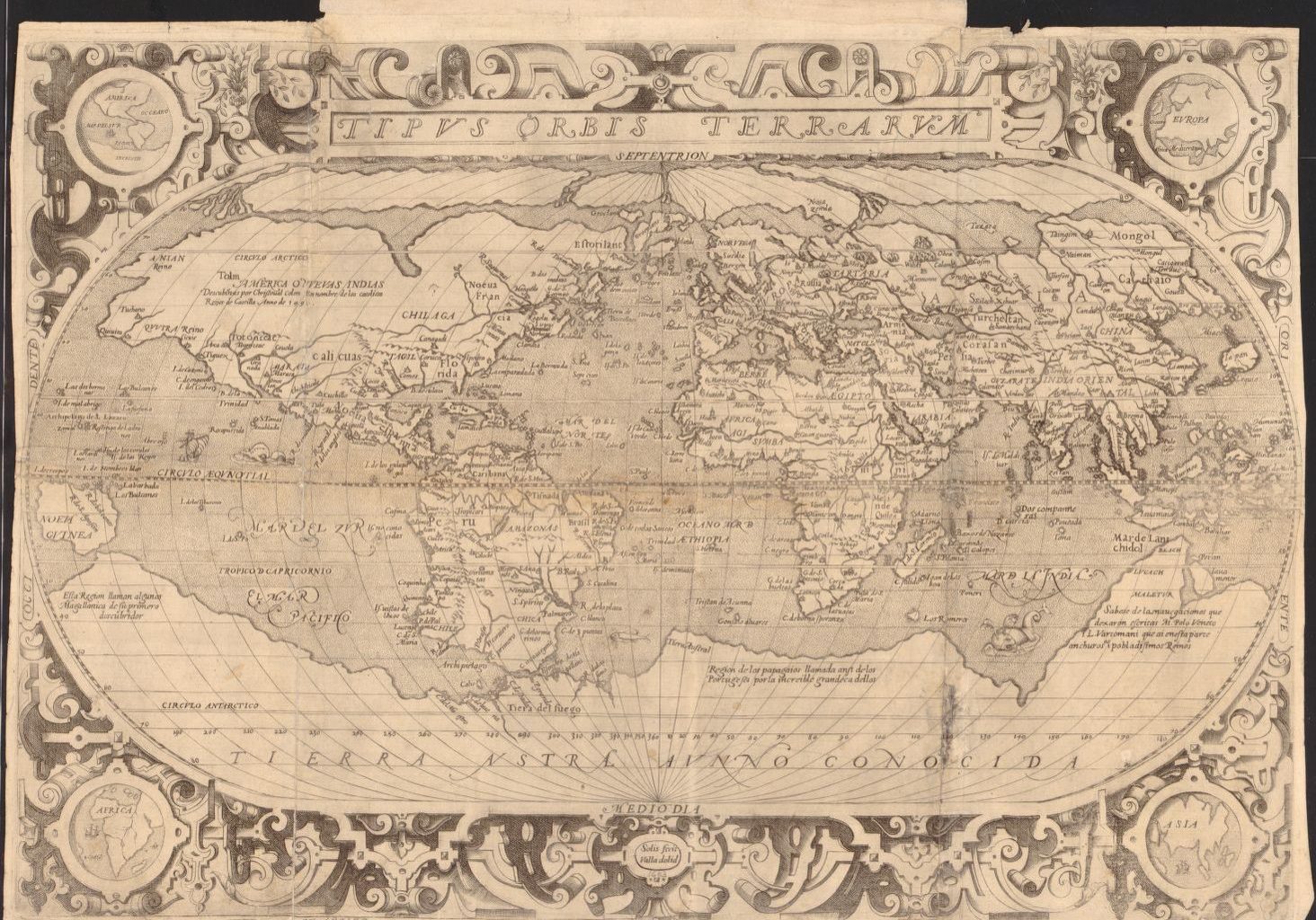 EXPLORER SIR WALTER RALEIGH – Downton Distillery UK