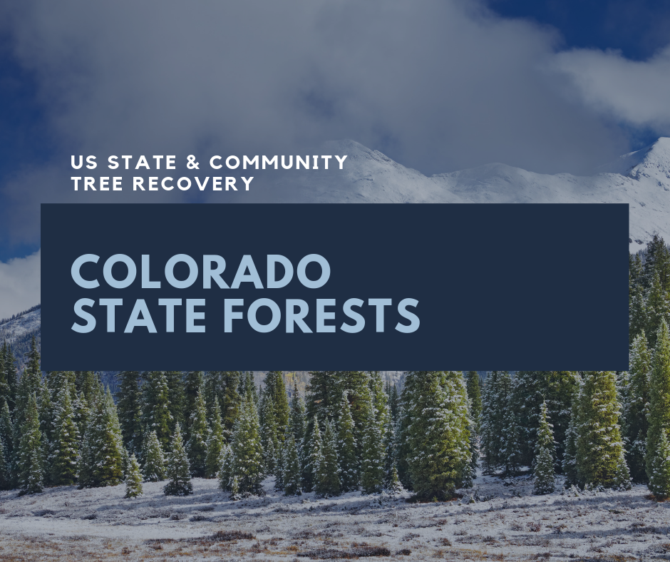 Tree Planting Locations - State Forest and Community | A Living Tribute