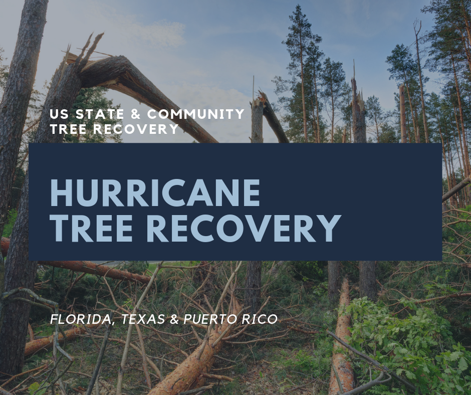 Tree Planting Locations - State Forest and Community - Pg. 2 | A Living ...