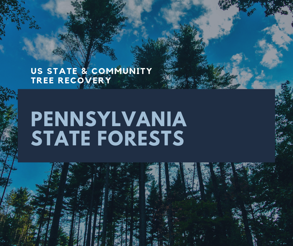 Tree Planting Locations - State Forest and Community | A Living Tribute