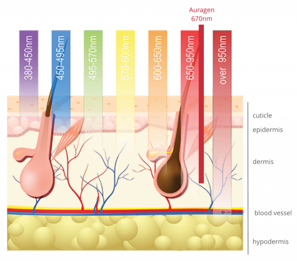 Auragen Light Therapy - Reversal Solutions, Inc