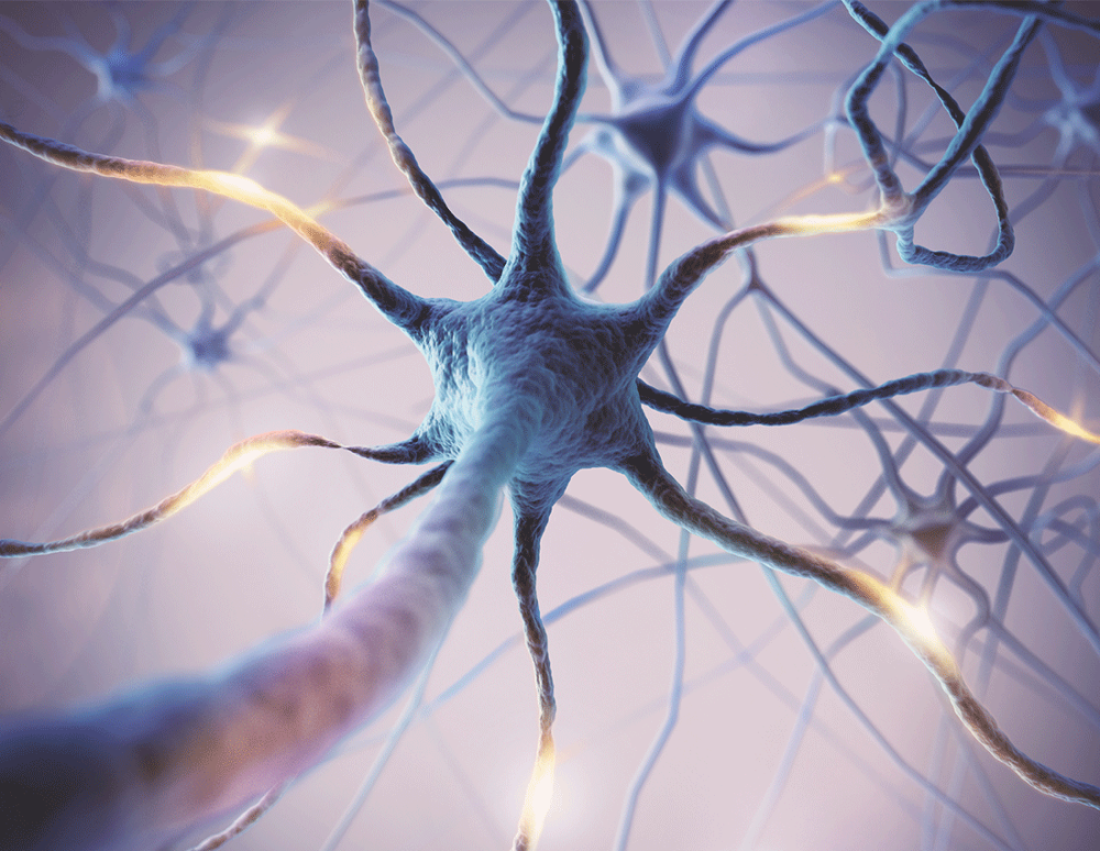 Brainwave Entrainment - Gamma - Reversal Solutions, Inc