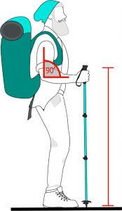 Hiking Poles: Do I Need Them and How to Choose?