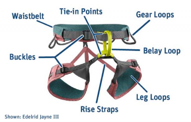 How to Choose a Climbing Harness?