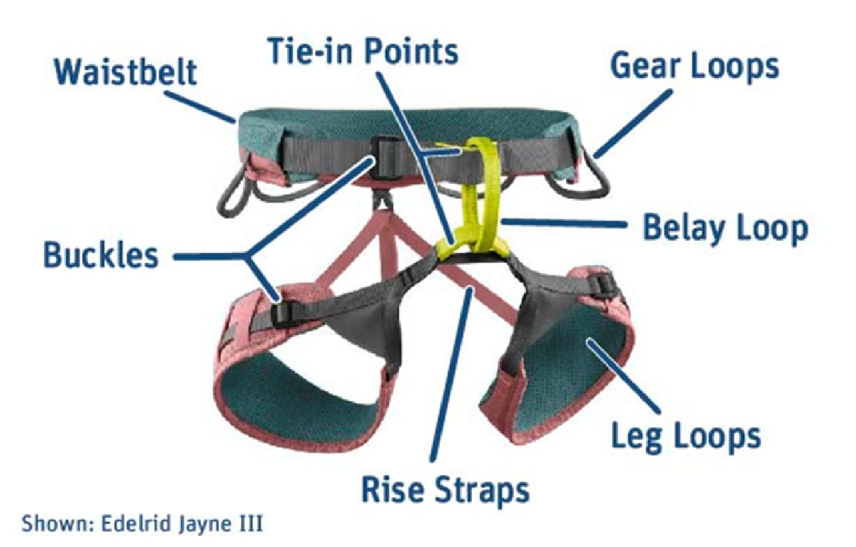 How to Choose a Climbing Harness?